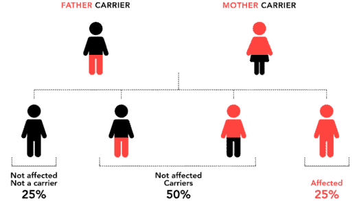 GCT: Genetic Compatibility Test to avoid passing hereditary diseases