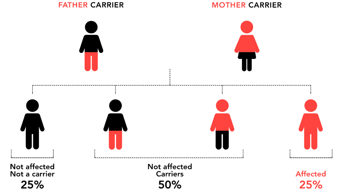 GCT: Genetic Compatibility Test to avoid passing hereditary diseases