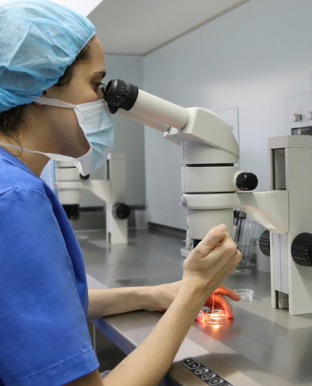 What is the embryologist role in the in vitro fertilization (IVF ...