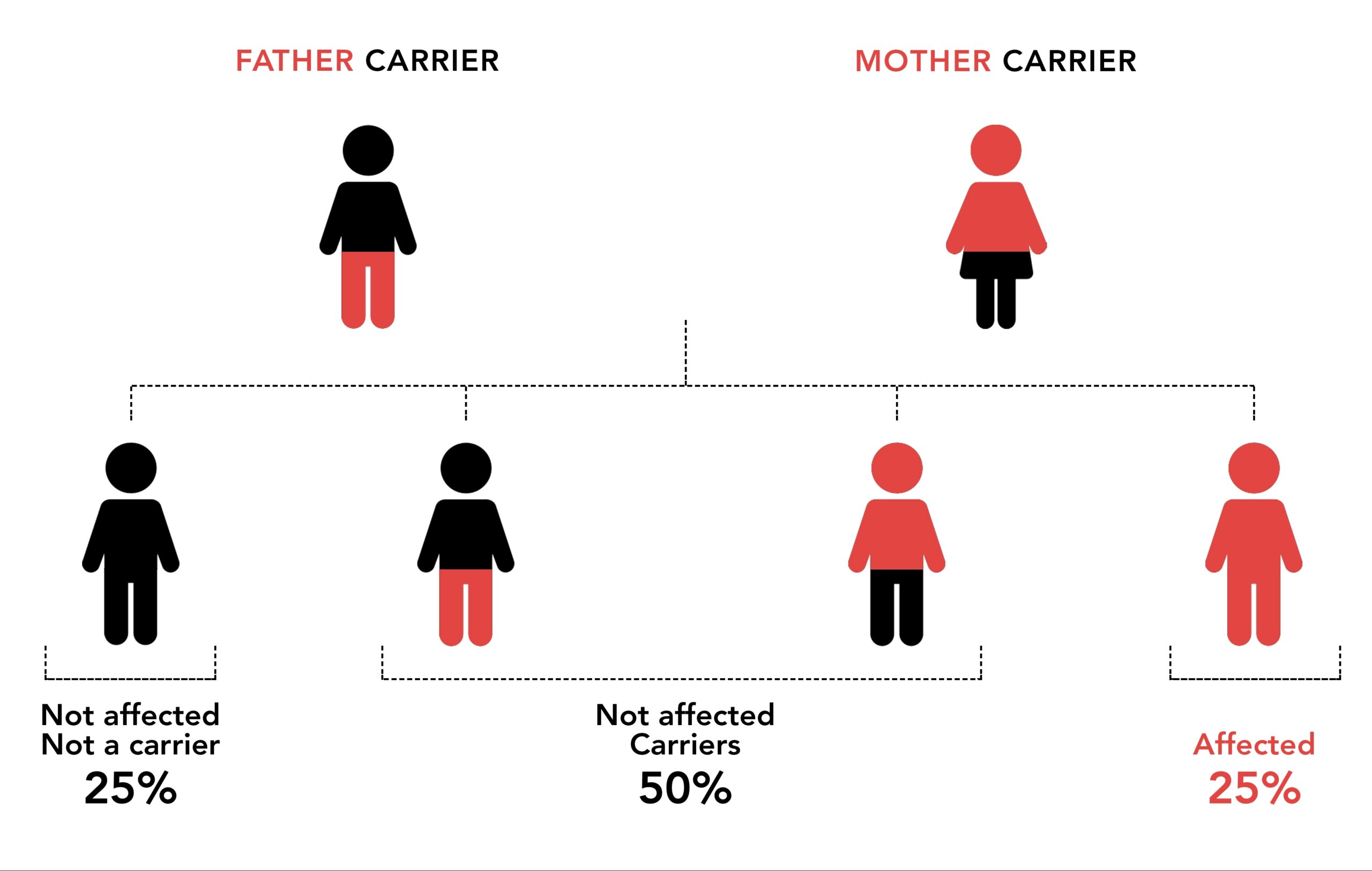 Amelia Sequence And Autism