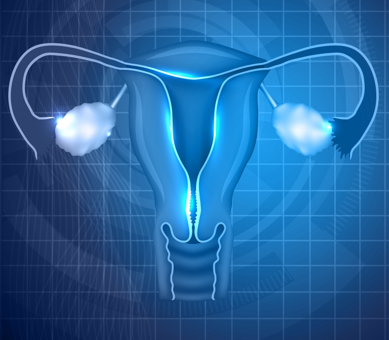 Endometrial receptivity analysis (ERA) in patients who require assisted ...