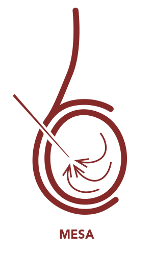 Sperm retrieval techniques: Biopsy and testicular puncture (TESA and MESA)