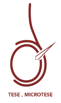 Sperm retrieval techniques: Biopsy and testicular puncture (TESA and MESA)