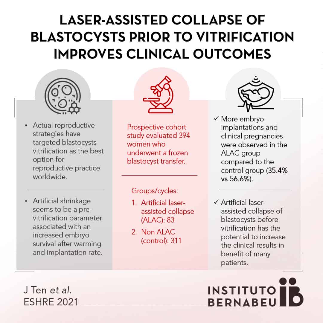 Pregnancy outcomes improve after "artificially collapsing" the embryo ...