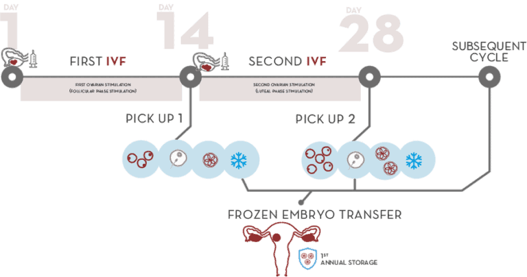 Double IVF for low ovarian reserve
