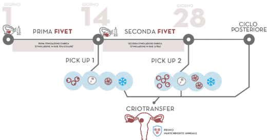Doppia FIV per bassa riserva ovarica